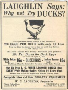 About Us – Laughlin Poultry Farm, Inc.